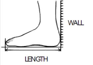 FOOT MEASUREMENT - Savoy Cats